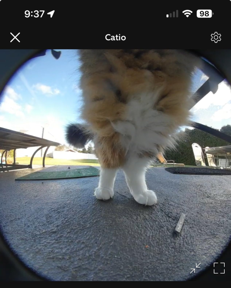 Ring Camera Animal Detection: The Ultimate Guide