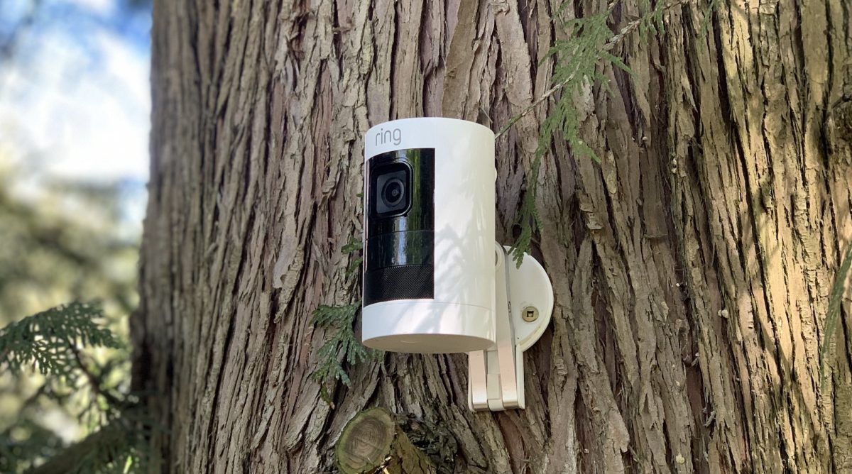 Ring Wildlife Camera: Could It Work?